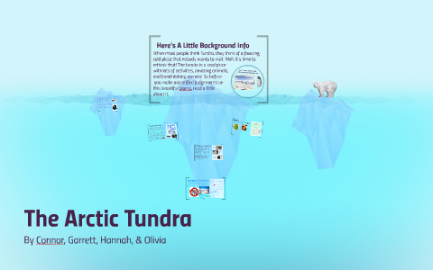 7th Grade Arctic Tundra Biome by Olivia Guarinello on Prezi