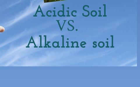 Acidic soil vs.Alkaline soil by gavin b on Prezi