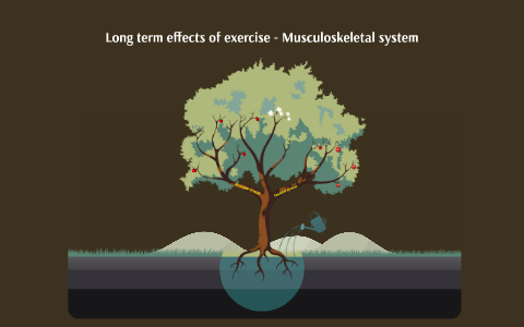 long term effects of exercise - Musculoskeletal system by Ben Brain on ...