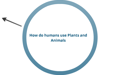 How do humans use Plants and Animals by Sydney Stadnick on Prezi
