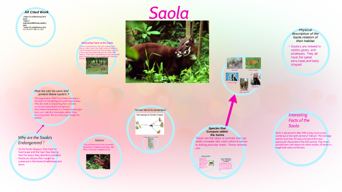 Saola by Fredricka davis on Prezi