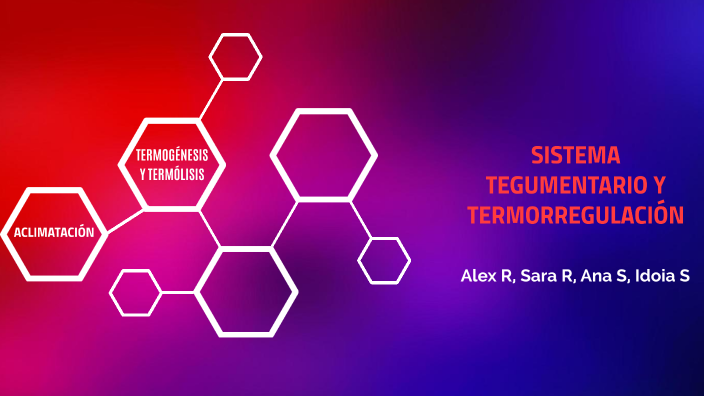 TERMOGÉNESIS Y TERMÓLISIS by Alex Rotaetxe on Prezi