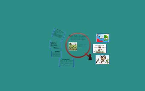 Relatii trofice in ecososteme by Ghetu AnaMaria on Prezi