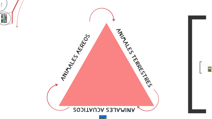 ANIMALES TERRESTRES by nora michelle cubillo on Prezi
