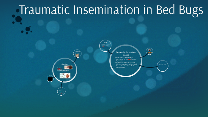 Traumatic Insemination in Bed Bugs by Joy Adkins on Prezi