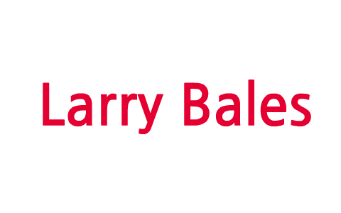 Workshop by Larry Bales on Prezi