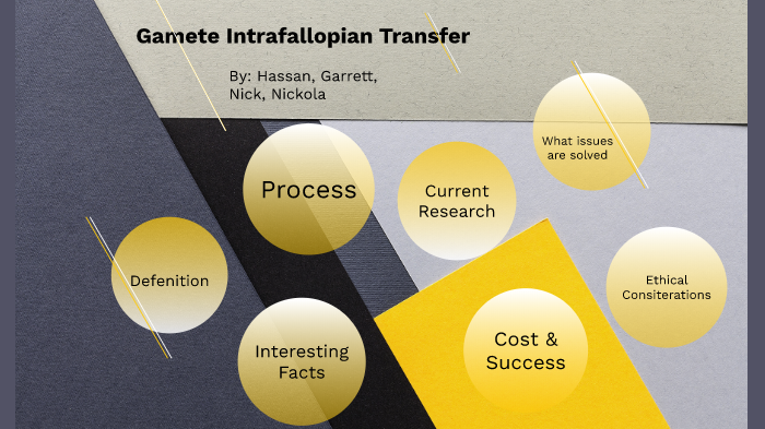 Gamete Intrafallopian Transfer by Garrett Kidd on Prezi