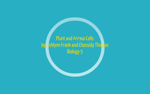 Plant and Animal Cells by Chassidy Thomas on Prezi