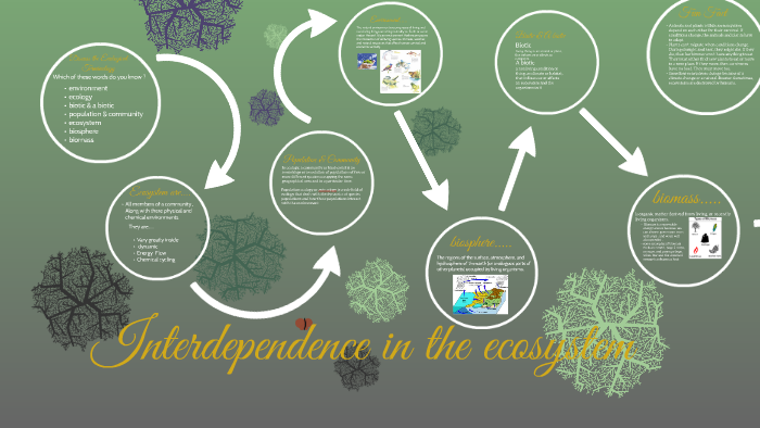 Interdependence in the ecosystem by kamrin shavers on Prezi