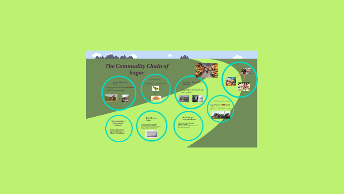The Commodity Chain of Sugar by alexis navarro on Prezi