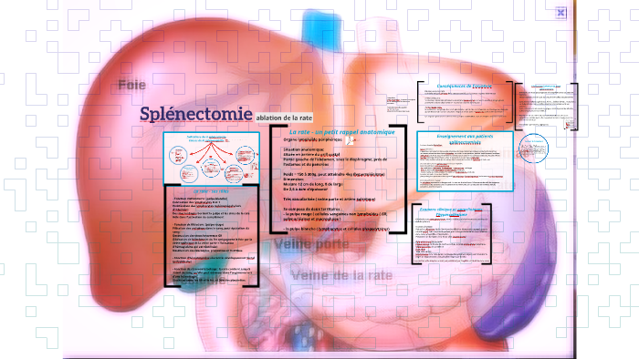 Splénectomie by Sophie Couture on Prezi