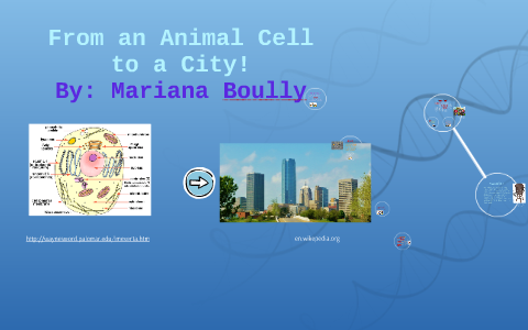 From an Animal Cell to a City! by on Prezi