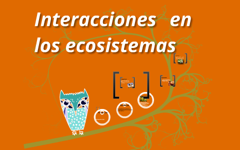 Interacciones en los ecosistemas by Rosario Guerrero on Prezi