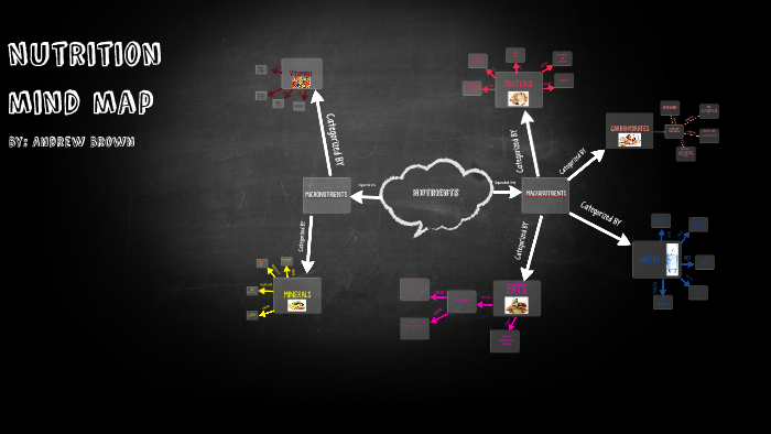 Nutrition mind map by Andrew Brown on Prezi