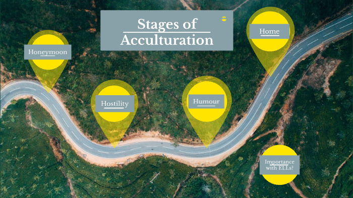 Stages of Acculturation by Katelyn McCloy on Prezi