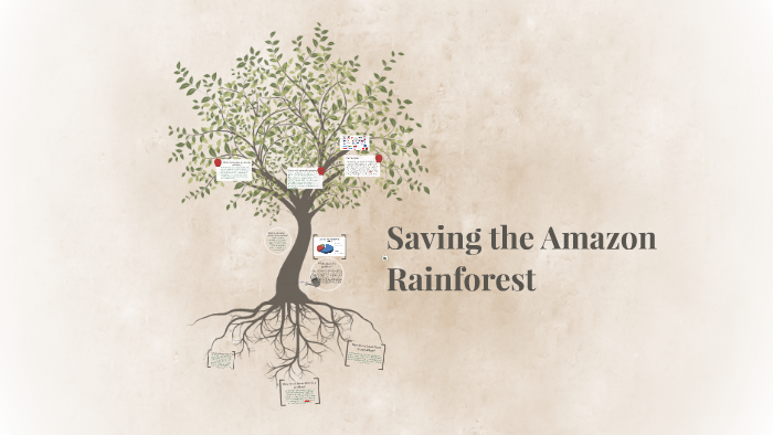 Saving the Amazon Rainforest by on Prezi