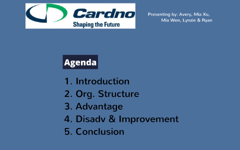 Cardno Org. Structure by ry d on Prezi