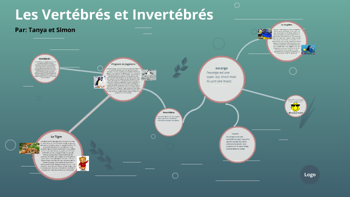 Les Vertébrés et Invertébrés by Tanya Singh