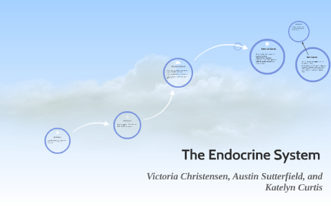The Endocrine System by Austin Sutterfield on Prezi
