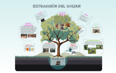 EXTRACCION DEL COLTAN by maria barbiso on Prezi