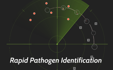 Rapid Pathogen Identification by lyric bright on Prezi