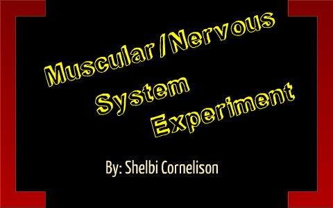 Muscular System Experiment by Shelbi Cornelison on Prezi