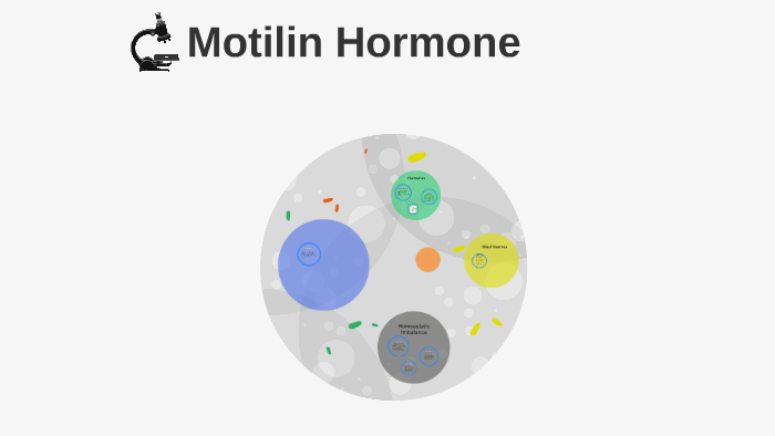 Motilin Hormone by Meghan Gable on Prezi