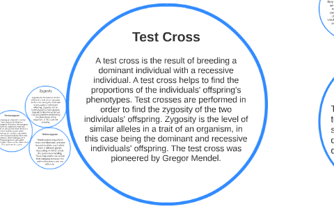 Test Cross by James Fukawa on Prezi