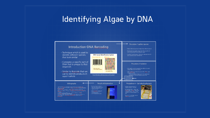 Identifying Algae by DNA by jun hwang on Prezi