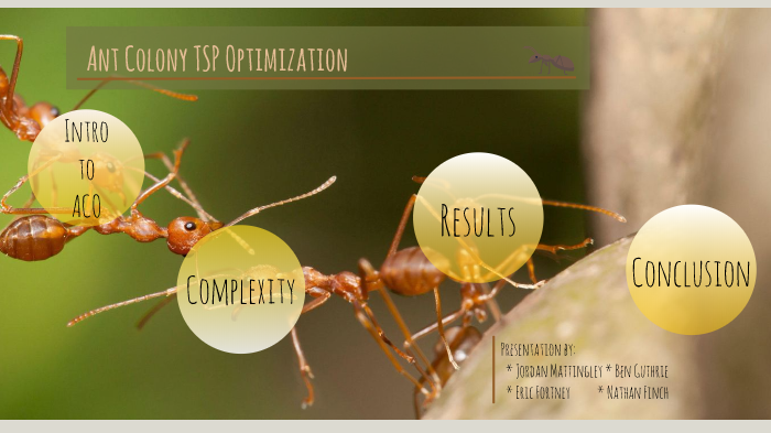 TSP Using the Ant Colony Algorithm by Nathan Finch on Prezi
