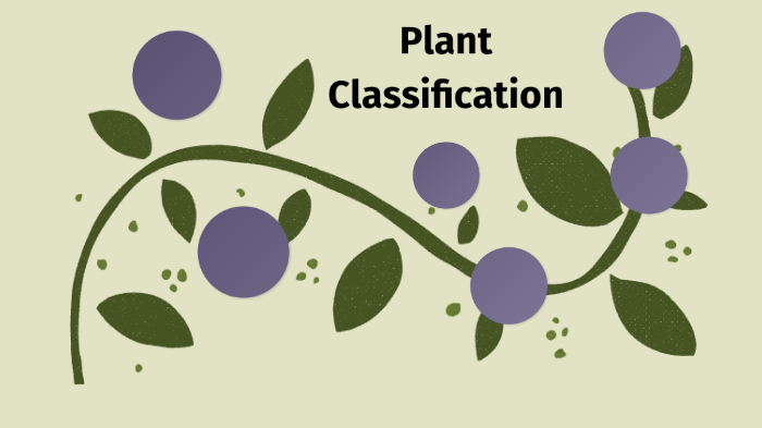Plant classification project by adam mills on Prezi