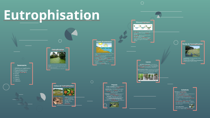 Eutrophisation 1 by Alexandra Petrariu on Prezi