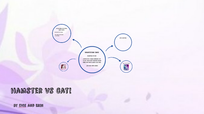hamster vs cat! by 14 Killigrew on Prezi
