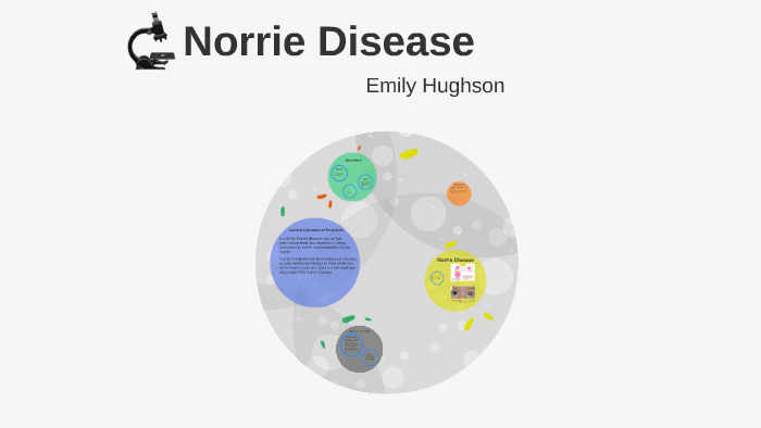 Norrie Syndrome by Emily Hughson on Prezi