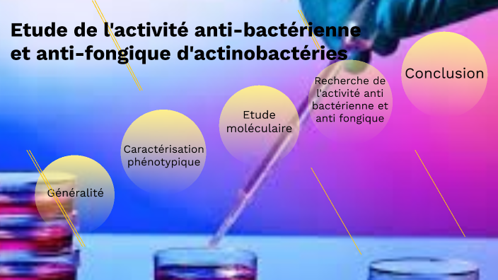 Etude de l'activité anti bactéienne et antifongique d'actinobactéries ...