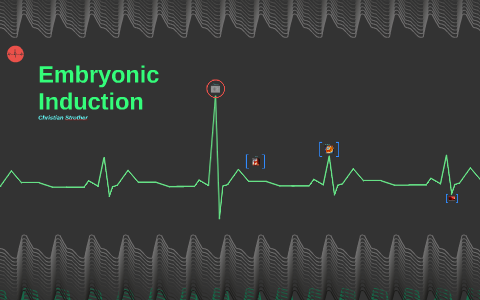 Embryonic Induction by Christian Strother on Prezi