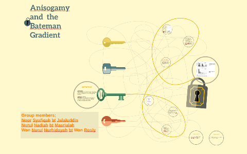 Anisogamy and the Bateman Gradient by Mastura Md.Khalid on Prezi