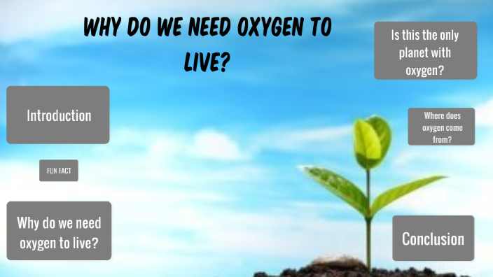 Why do we need oxygen to live? by Tiana Brincat on Prezi