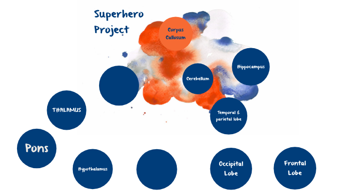 The Brain/ Superhero Project by Natalie Jimenez on Prezi