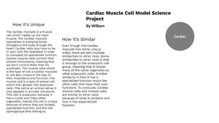 Cardiac Muscle Cell Model Science Project by William Merryfield on Prezi