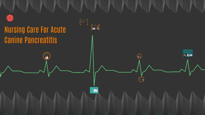 Nursing Care For Acute Canine Pancreatitis by Scott Middlebrooks on Prezi