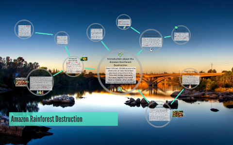 Amazon Rainforest Destruction by Hannah Plenzich on Prezi
