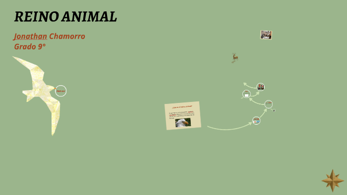 REINO ANIMAL by gabriel cadavid on Prezi