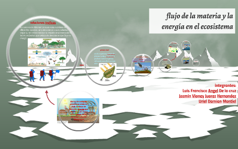 flujo de la materia y la energia en el ecosistema by Luis Fco Angel on ...