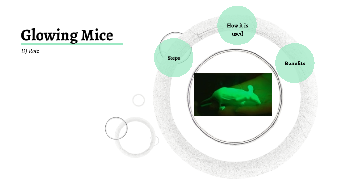Glowing Mice by DJ Rotz on Prezi