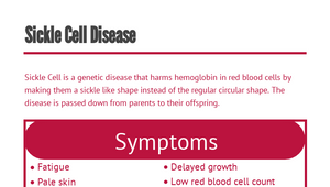 Sickle Cell Project infographic by 150778 150778 on Prezi Design