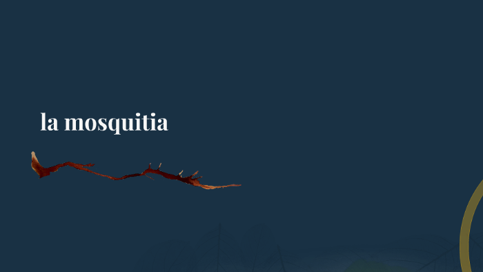 la costa mosquitia o la mosquitia by axel enrique artica padilla on Prezi