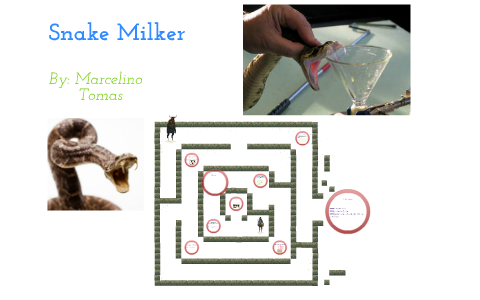 snake milker by marcelino tomas on Prezi