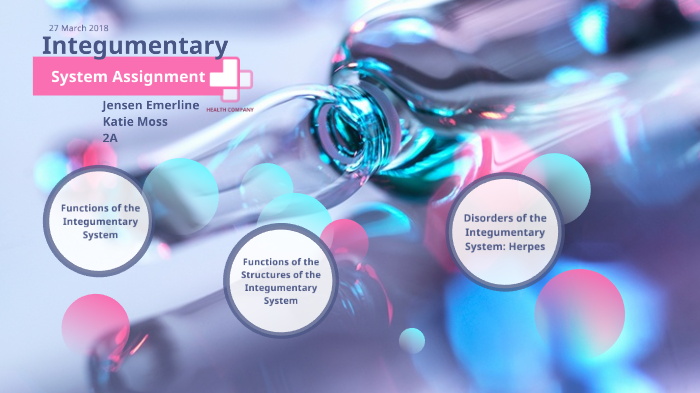 Integumentary System Project by Jacob Lewis on Prezi