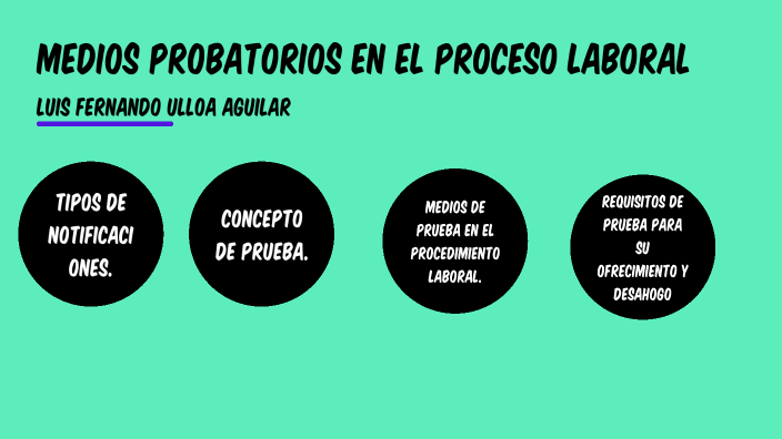 Medios Probatorios en el Proceso Laboral by luis fernando ulloa aguilar ...